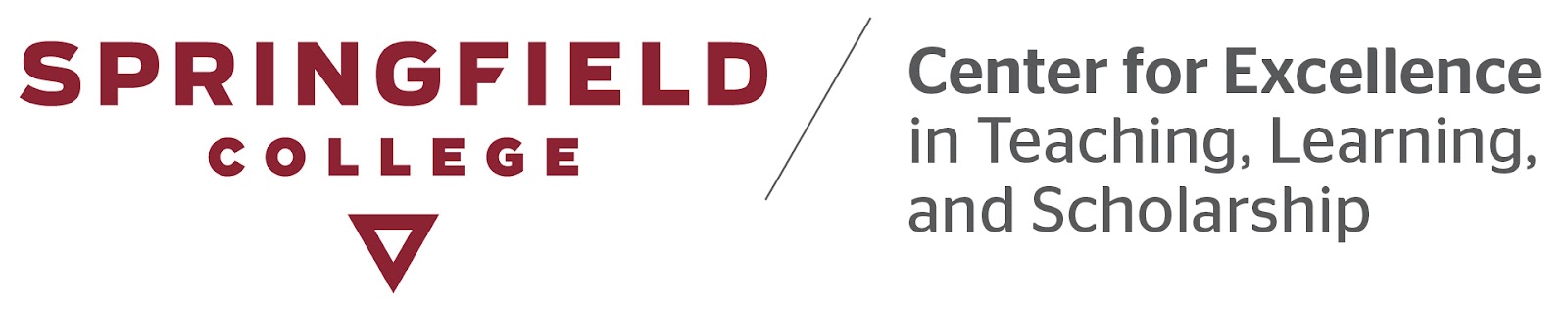 Center for Excellence in Teaching, Learning, and Scholarship