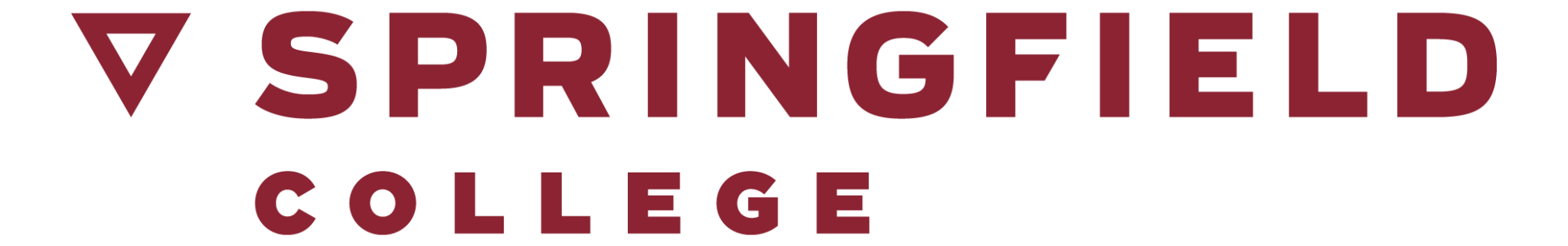 Gift Report – Annual Gift Report 2020-2021 | Springfield College